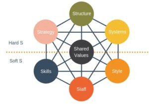 McKinsey 7S Framework - Noteswa